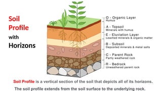 Basics of Soil Science an introduction.pptx