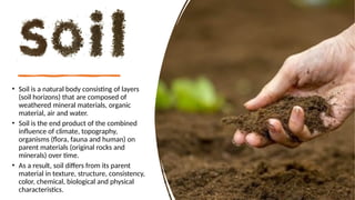 Basics of Soil Science an introduction.pptx
