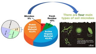 Basics of Soil Science an introduction.pptx