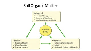 Basics of Soil Science an introduction.pptx