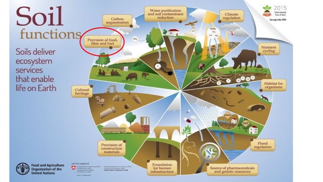 Basics of Soil Science an introduction.pptx