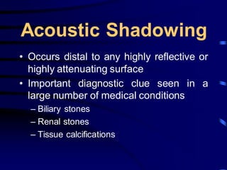 Basics of sonography and anatomy of chest wall | PDF
