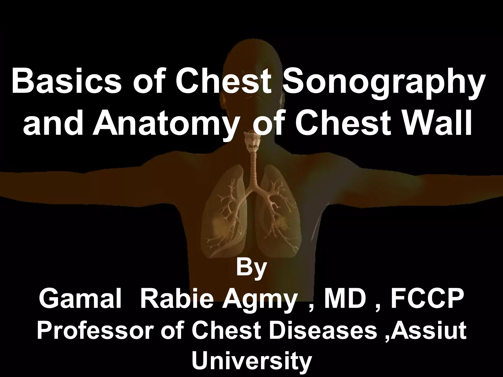 Basics of Chest Sonography and Anatomy of Chest Wall | PDF | Lung and ...