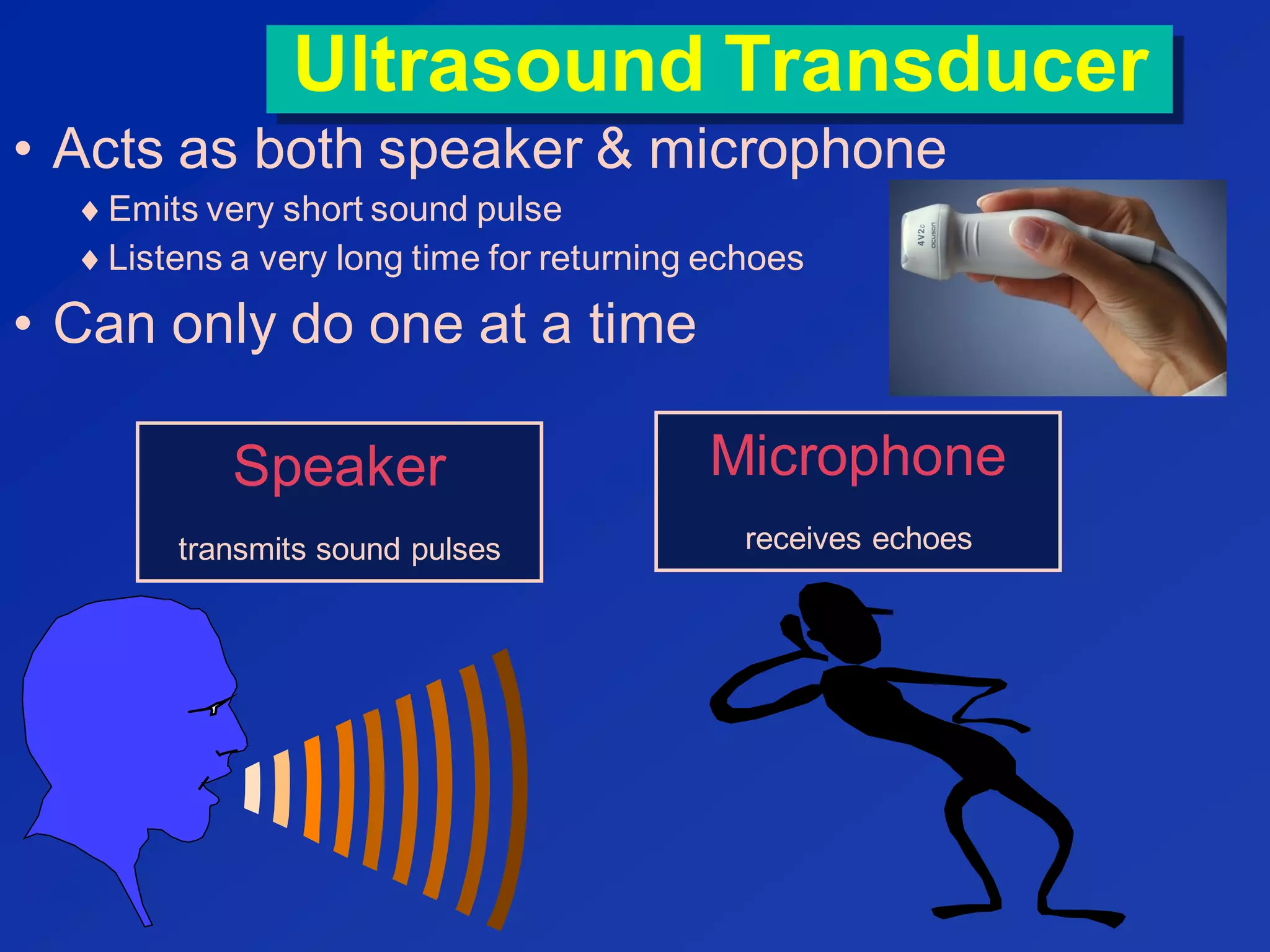 Basics of Chest Sonography and Anatomy of Chest Wall | PDF | Lung and ...