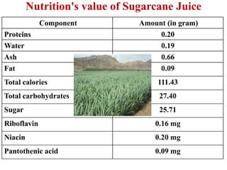 Basics of sugar technology | PDF