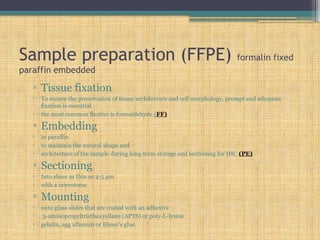 Basics of the Immunohistochemistry techniques.pptx