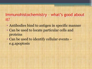Basics of the Immunohistochemistry techniques.pptx