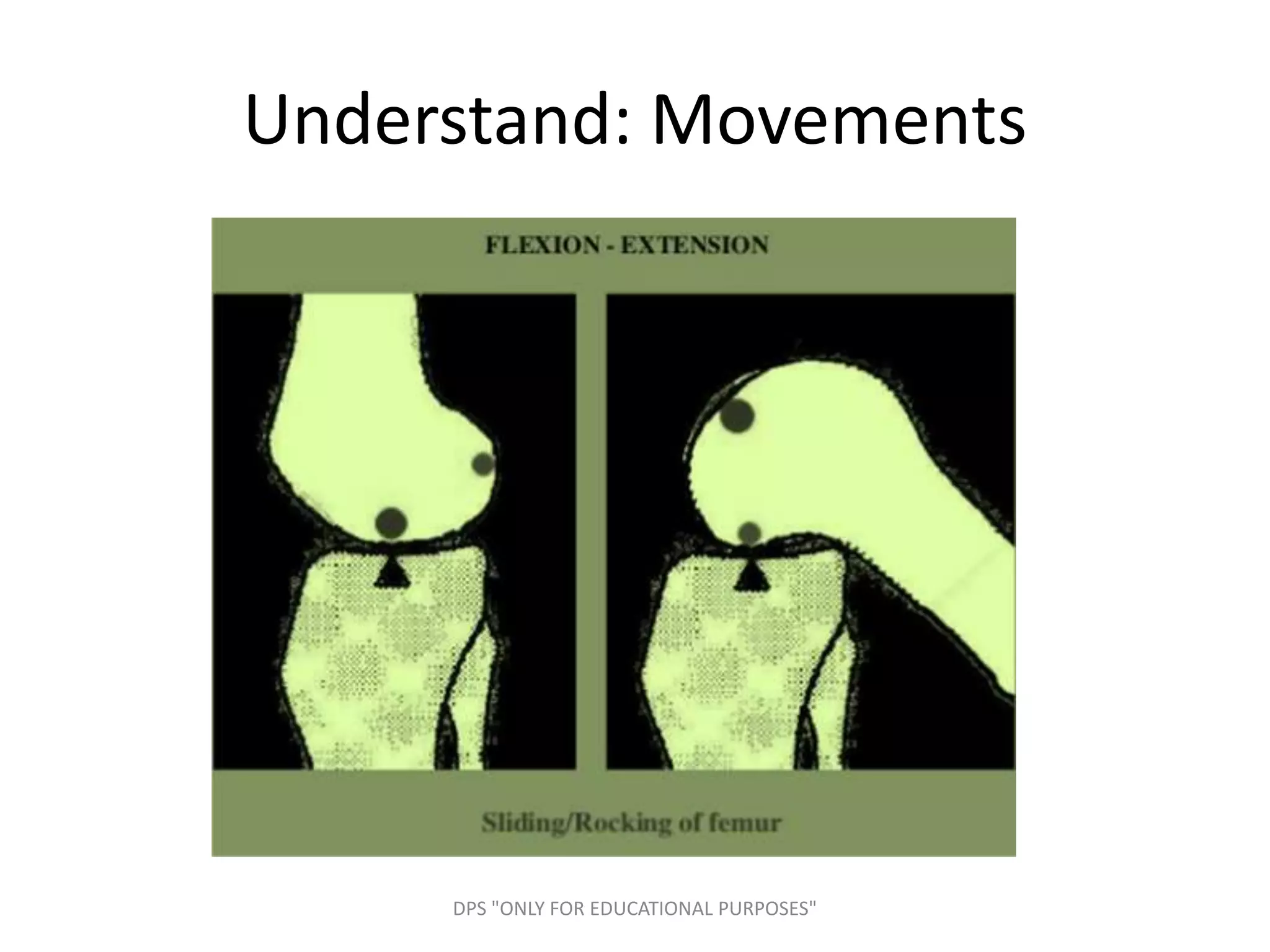 BASICS OF TKR BY DR. D. P. SWAMI | PPTX