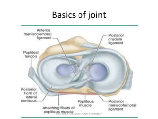 BASICS OF TKR BY DR. D. P. SWAMI | PPTX