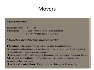 BASICS OF TKR BY DR. D. P. SWAMI | PPTX