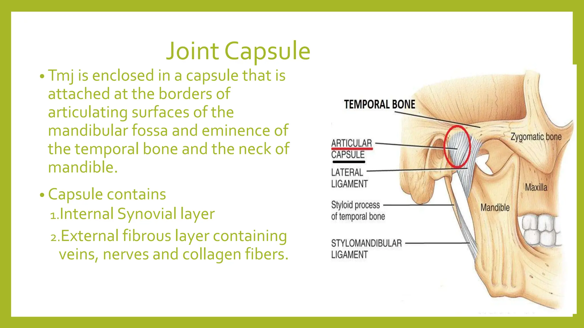 BASICS OF Temporomandibular joint..ppttt | PPTX
