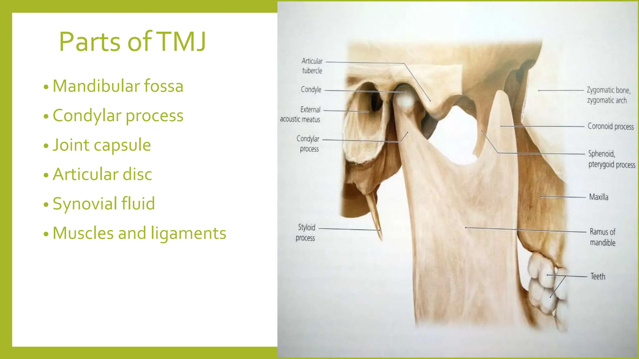 BASICS OF Temporomandibular joint..ppttt | PPTX