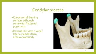 BASICS OF Temporomandibular joint..ppttt | PPTX