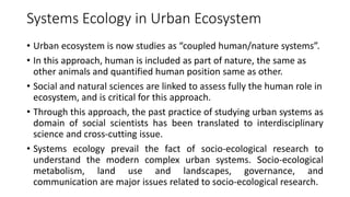 Basics of urban ecology | PDF