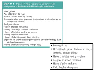 Basics of urology for beginners and students.pptx