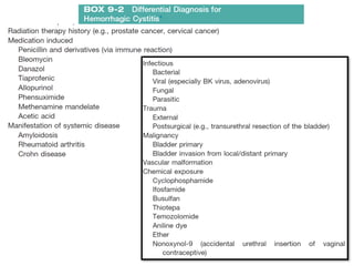 Basics of urology for beginners and students.pptx