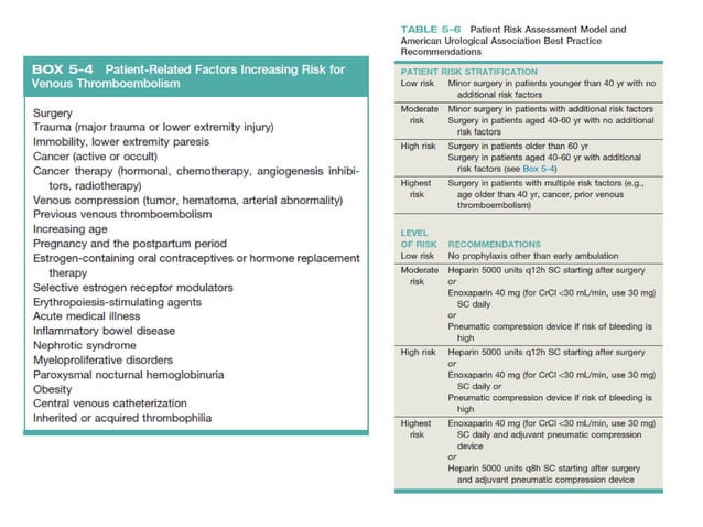 Basics of urology for beginners and students.pptx | Cancer | Diseases ...