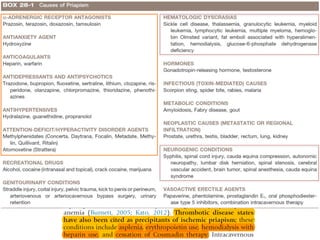 Basics of urology for beginners and students.pptx