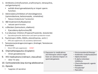 Basics of urology for beginners and students.pptx