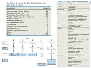 Basics of urology for beginners and students.pptx
