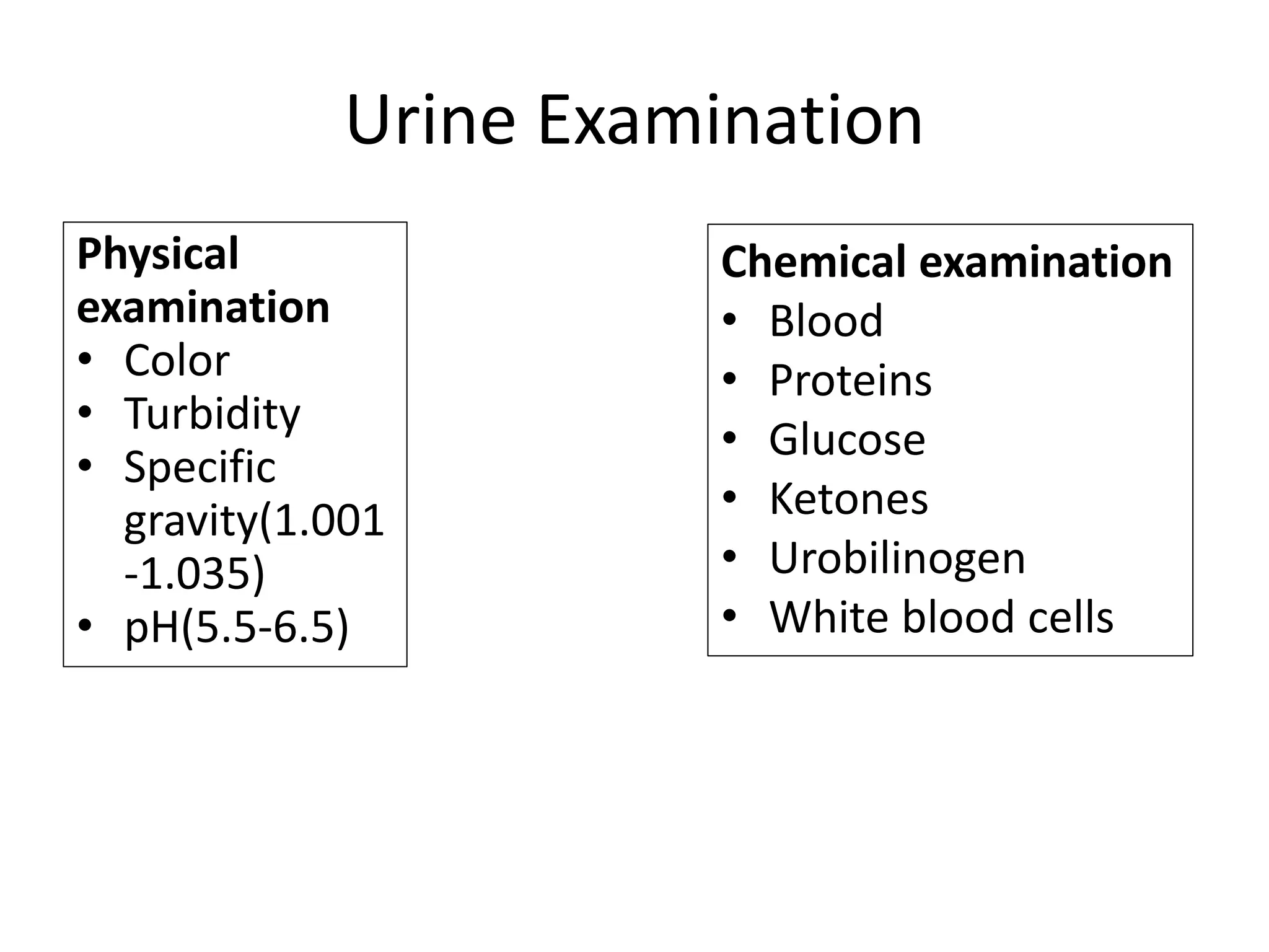 Basics of urology 1.pptx