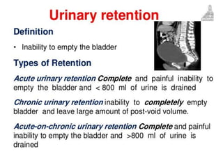 Basics of urology 1.pptx | Foot Health | Diseases and Conditions