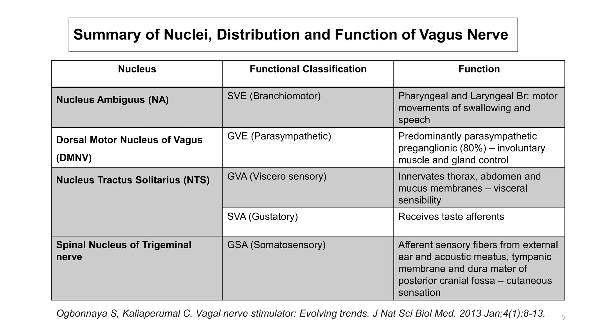 Basics of Vagal Nerve Stimulation (VNS) | PDF