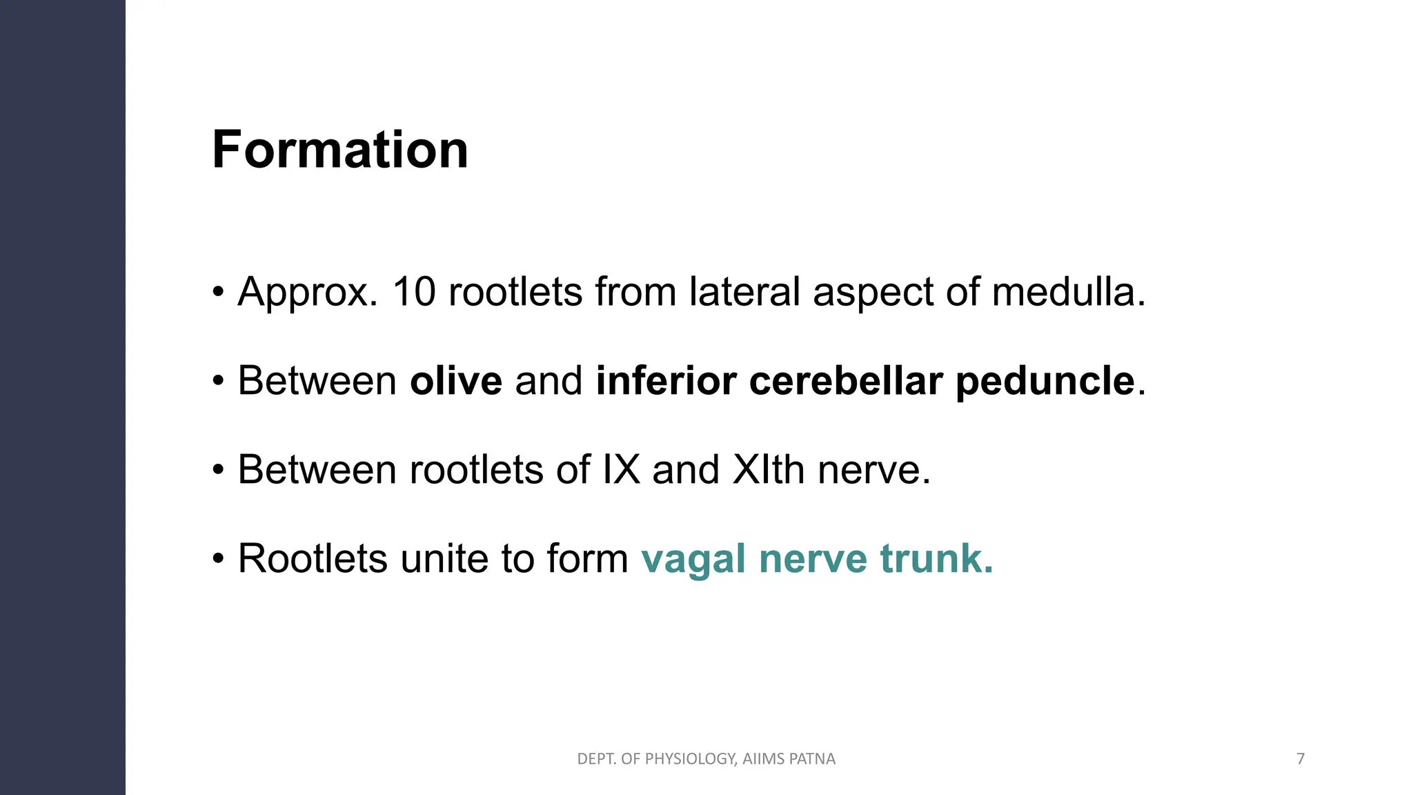 Basics of Vagal Nerve Stimulation (VNS) | PDF