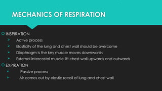 Basics of ventilation in children 18.9.24.pptx