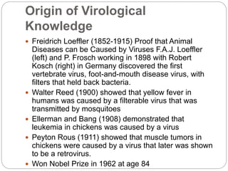 Basics of Virology.ppt................... | PPT