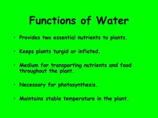 Basics of watering | PPTX