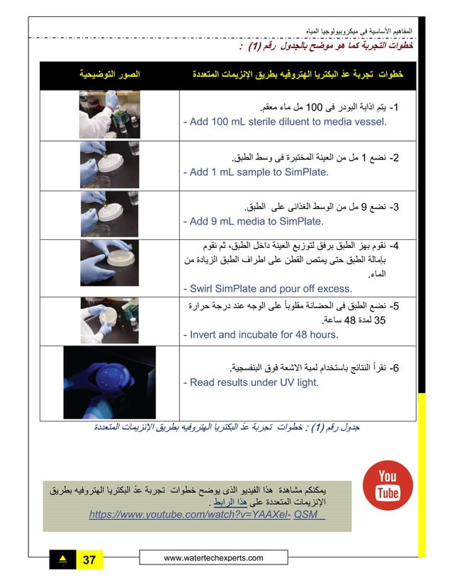 Basics of water microbiology - Elhassan Elsadek | PDF