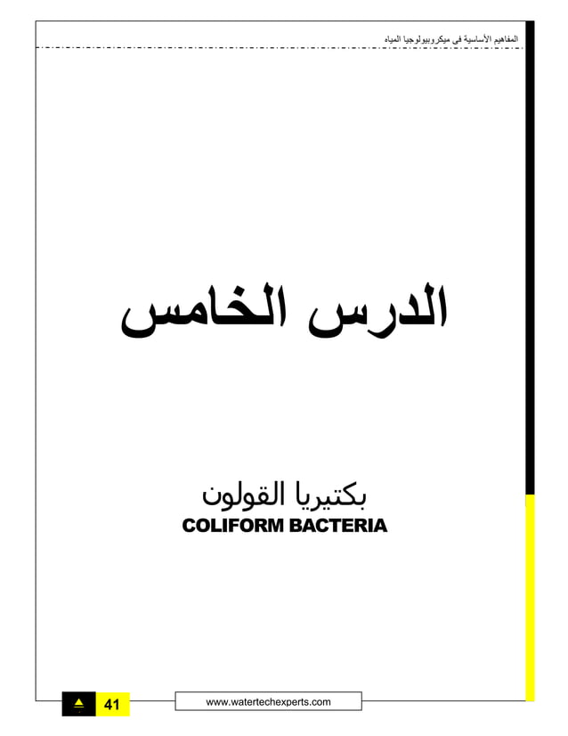 Basics of water microbiology - Elhassan Elsadek | PDF