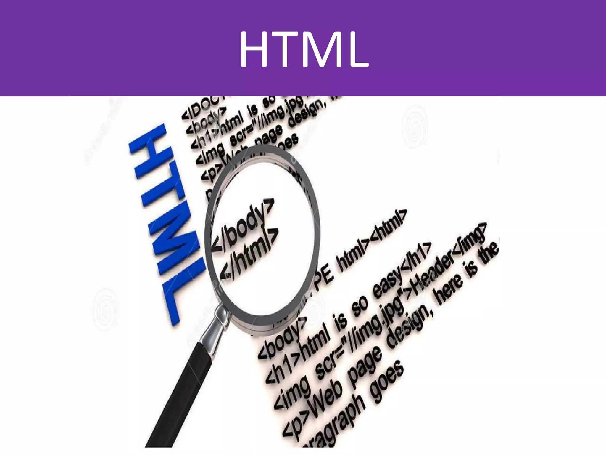 Basics of web design | PPTX