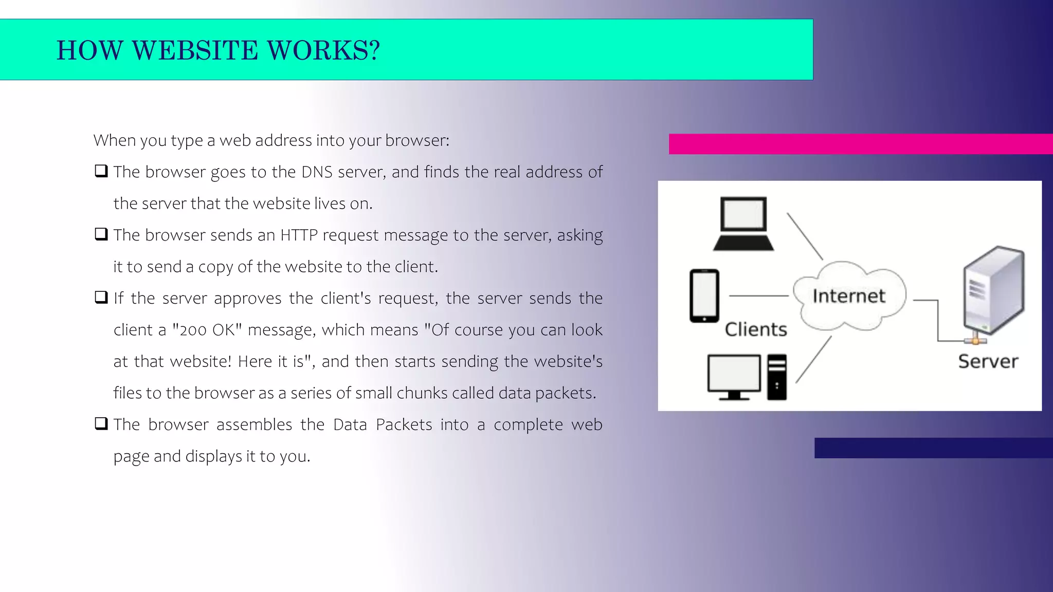 Basics of Web Development.pptx