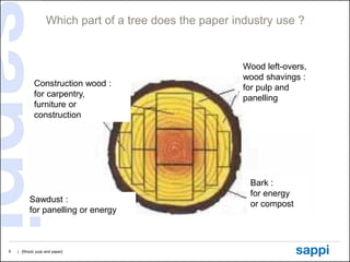 Basics of wood, pulp and paper november 2012 | PDF
