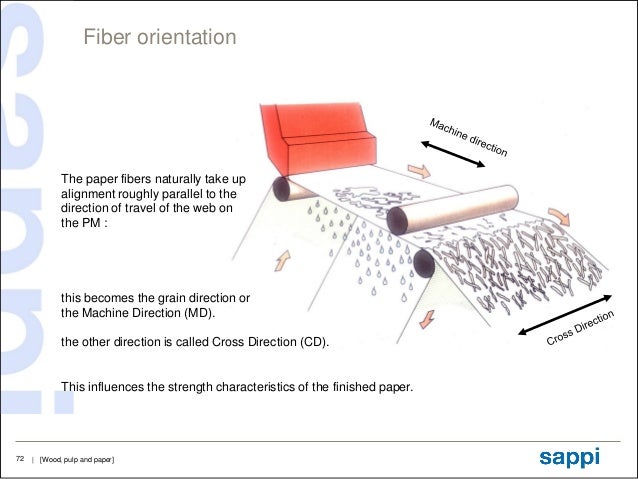 Basics of wood, pulp and paper november 2012