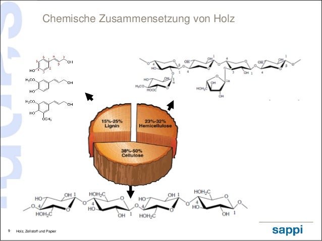 Holz, Zellstoff und Papier