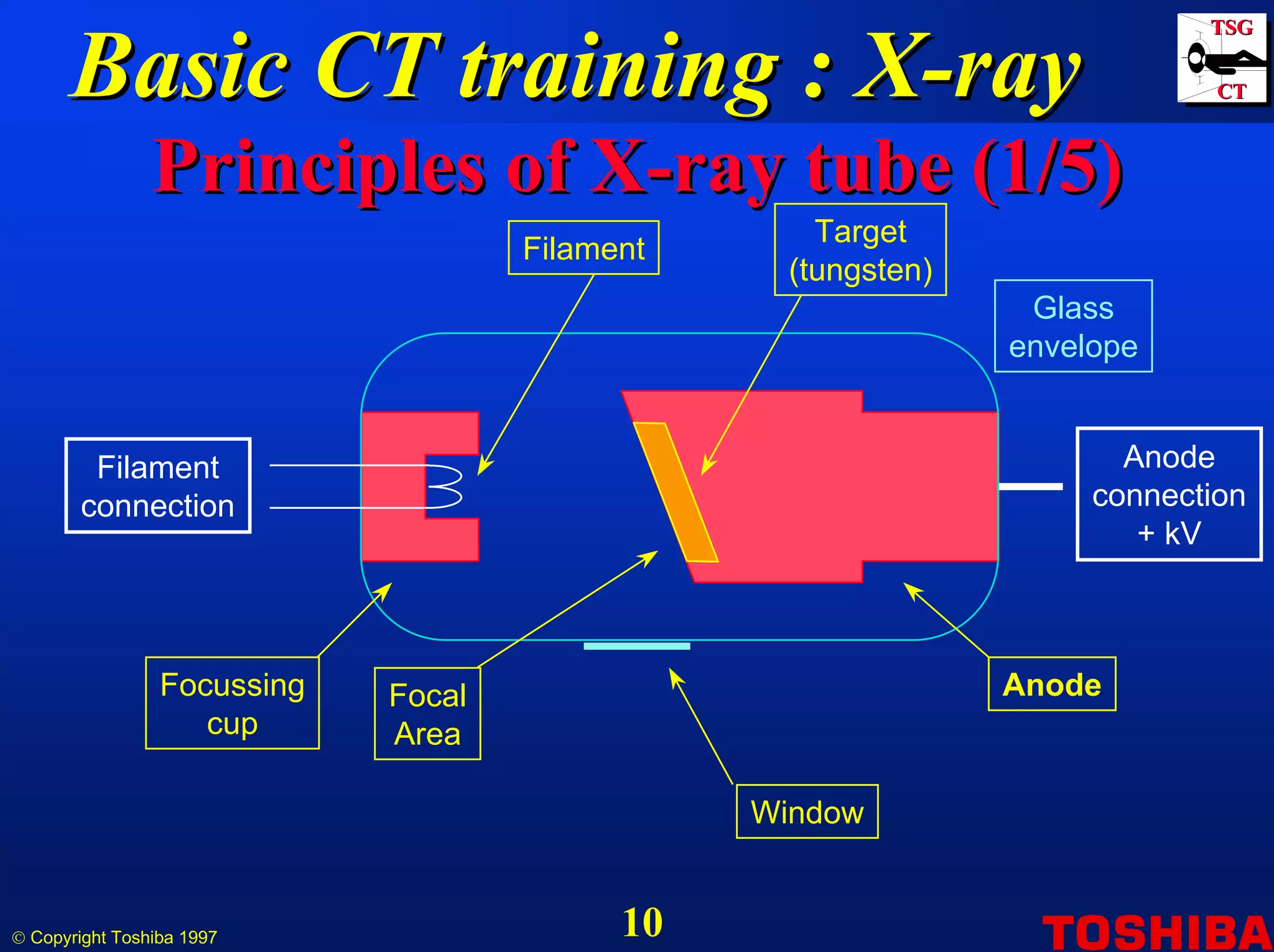 Basics of X-rays.pdf