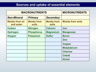 Basic soil fertility | PPT