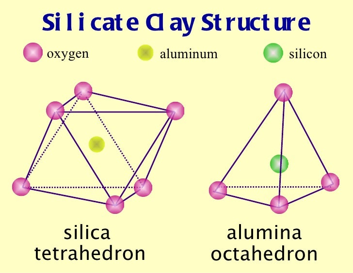 Basic soils arborist version - 2010