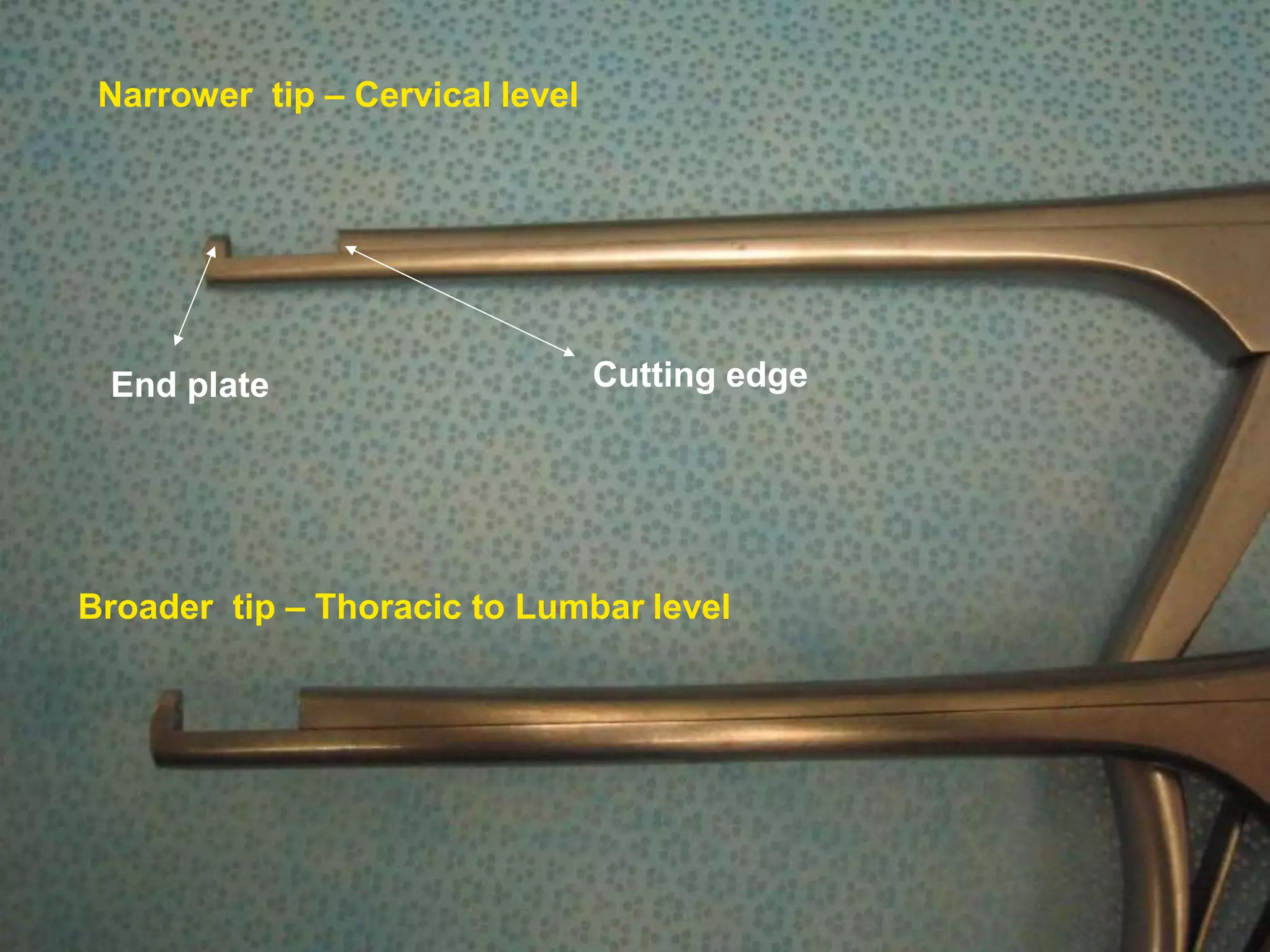 basic spinal instrument.docx
