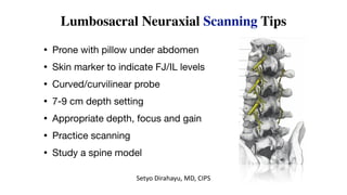 Basic Spine for general practitioners practice (1).pdf