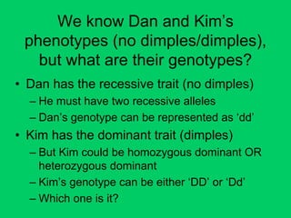 basicspresentation.pdf