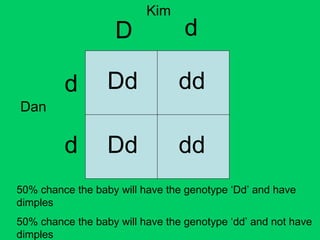 basicspresentation.pdf