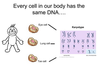 basicspresentation.pdf