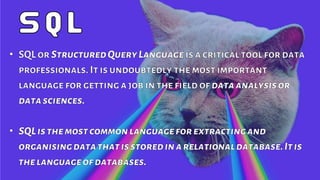 Basic Sql Commands.pptx