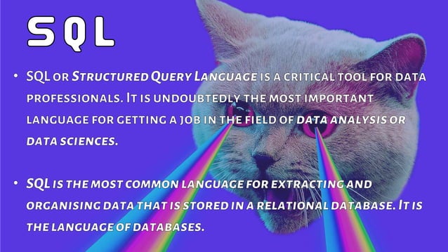 Basic Sql Commandspptx Databases Computer Software And Applications