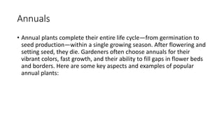 Basics should Know Before Starting Your Garden.pptx