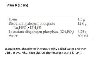 basic staining techniques in hematology.pptx